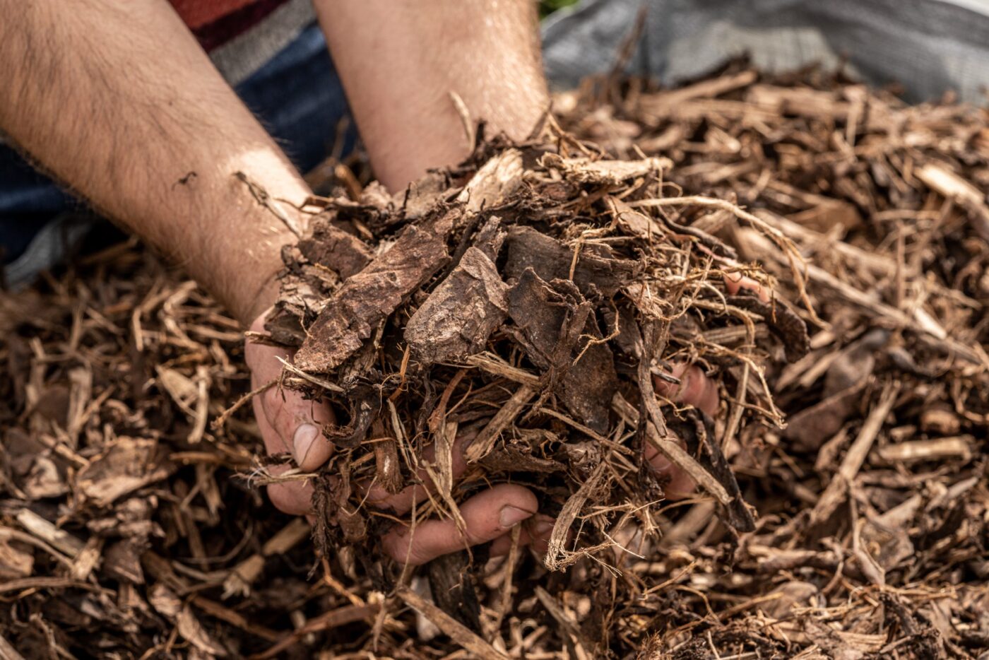 Ornamental Bark - UK Wide Delivery | Buy Online Today | Corker.co.uk