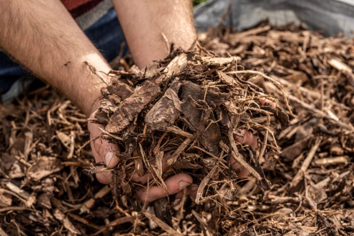 Ornamental Bark - UK Wide Delivery | Buy Online Today | Corker.co.uk