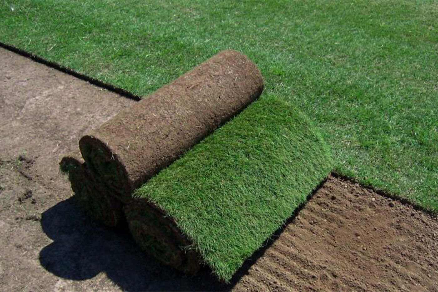 Turf Supplier in Kent | Delivery & Collection Available | Corker
