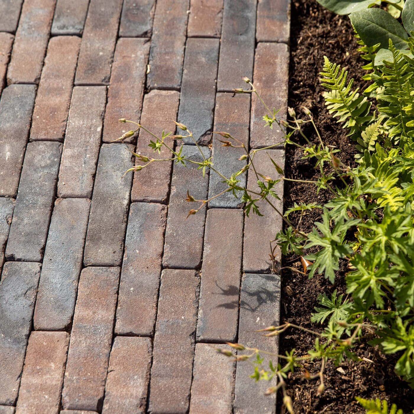 Burlow Clay Paver - UK Wide Delivery | Buy Online Today | Corker.co.uk