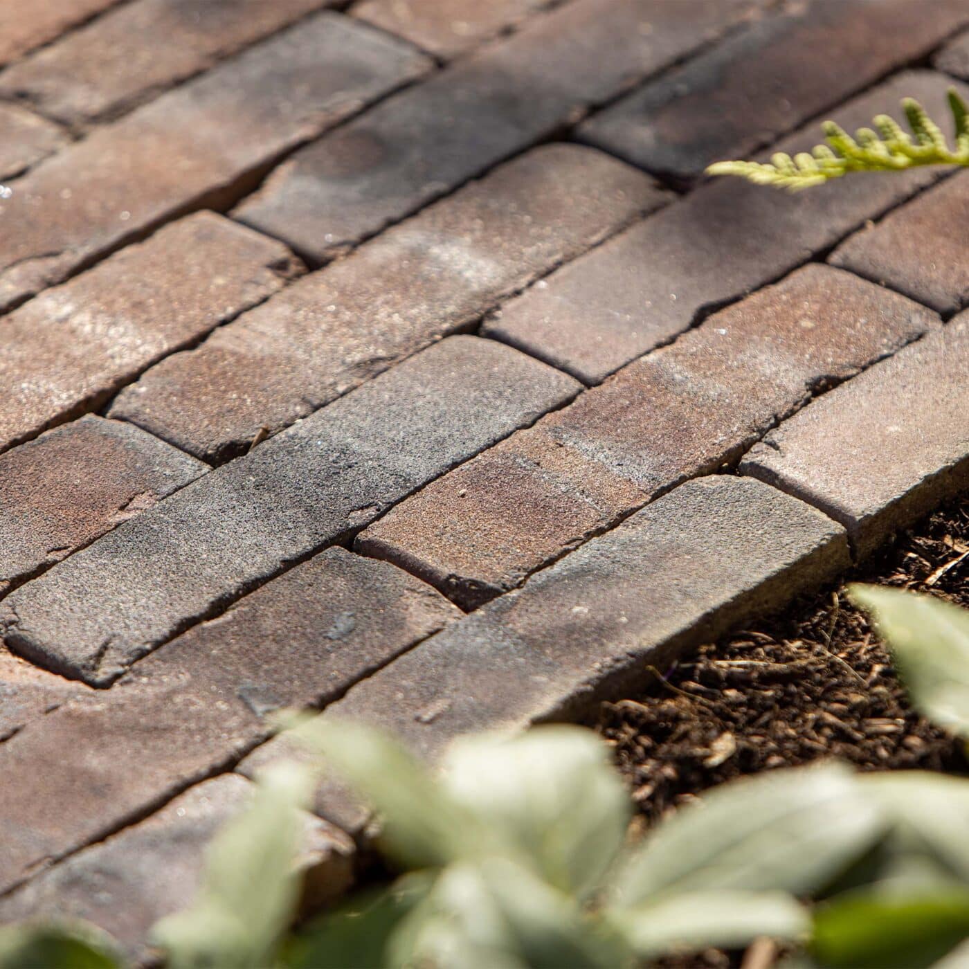 Burlow Clay Paver - UK Wide Delivery | Buy Online Today | Corker.co.uk