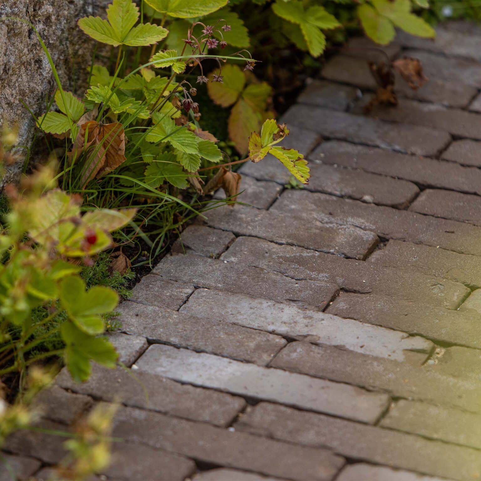 Falmer Clay Paver - UK Wide Delivery | Buy Online Today | Corker.co.uk